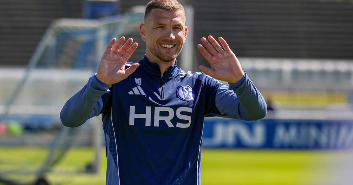 2. Bundesliga heute: Schalke - Düsseldorf LIVE im TV, Liveticker ...