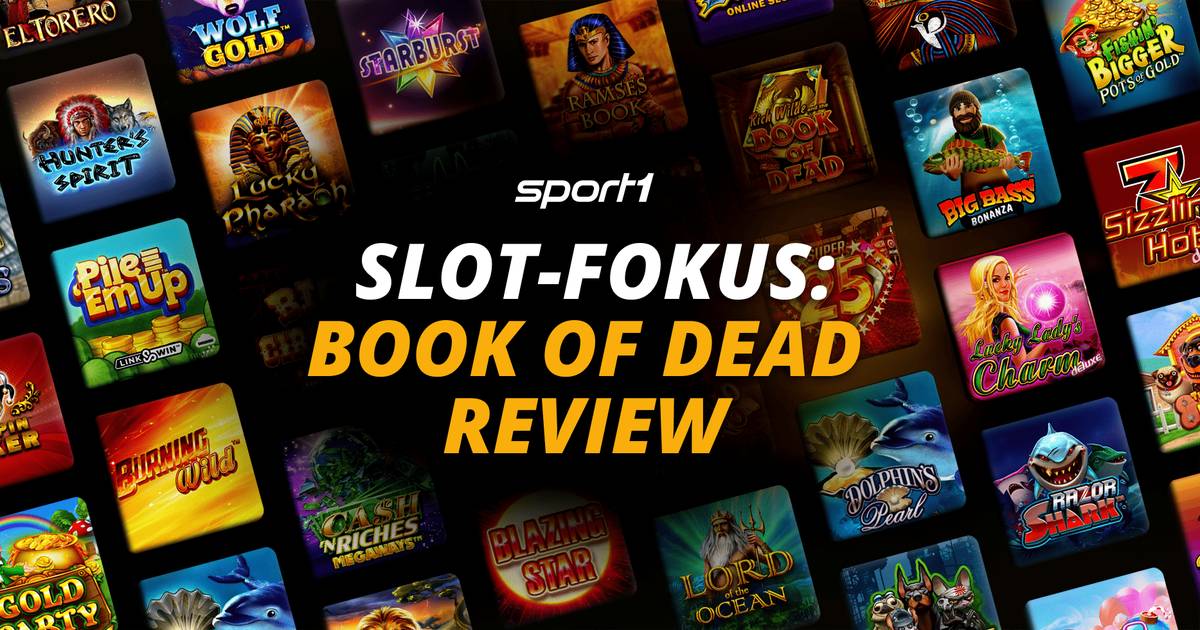 Book of Dead Review 2026: Alle Regeln, Features und Fakten