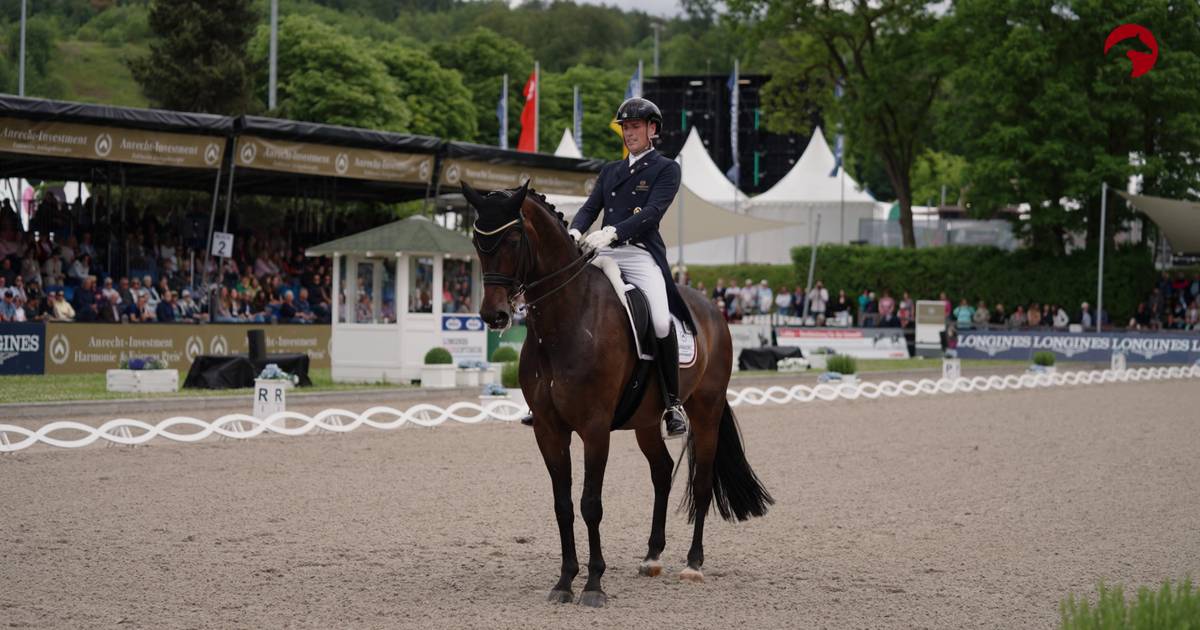 LONGINES BALVE OPTIMUM, Spring- & Dressurreiten Dt. Meisterschaft