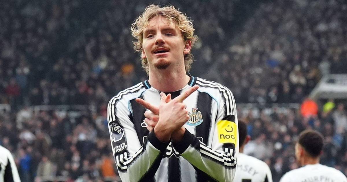 Manchester United vs Newcastle Prognosen, Quoten und Wett Tipps ...