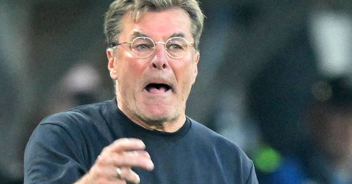 Medien: Hecking soll Sport-Boss in Wolfsburg werden